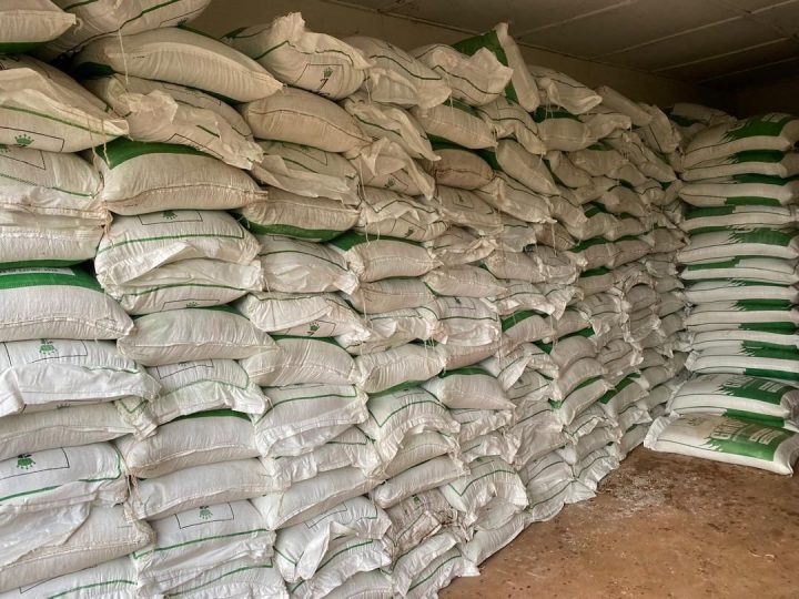 Salaga-South MP distributes 650 bags of fertiliser to boost farming sector